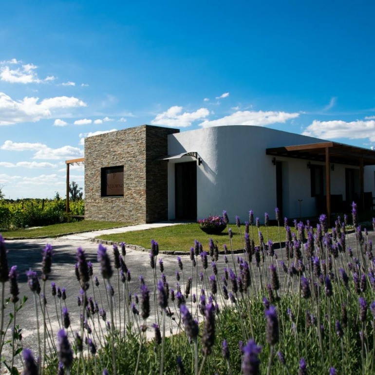 Pacheca The Wine House Hotel e Spa no Vale do Douro